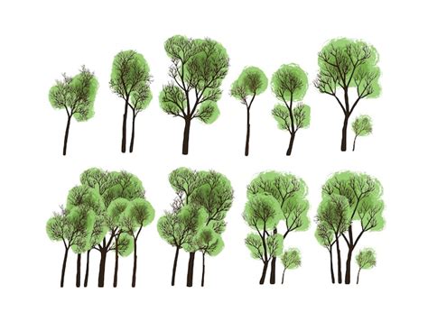 Premium Vector A Set Of Trees With Green Leaves On Them