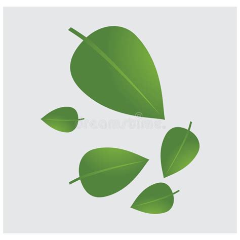 Green Leaf Illustration Nature Logo Design Stock Vector Illustration