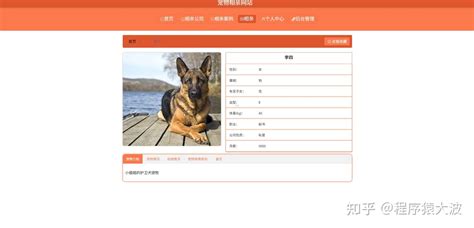 基于java，springboot，vue，html宠物相亲配对婚恋系统设计 Csdn博客