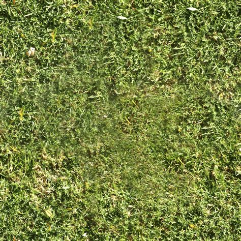 Grass Texture Free 3d Model On