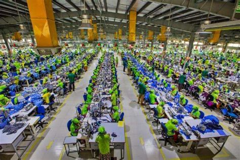 Eu Due Diligence Directive Impact On Bangladesh