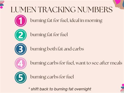 Lumen Metabolism Tracker Beginners Guide And Review