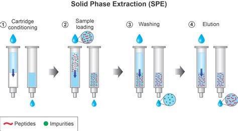 Figure 1 From Comprehensive Overview Of Bottom Up Proteomics Using Mass