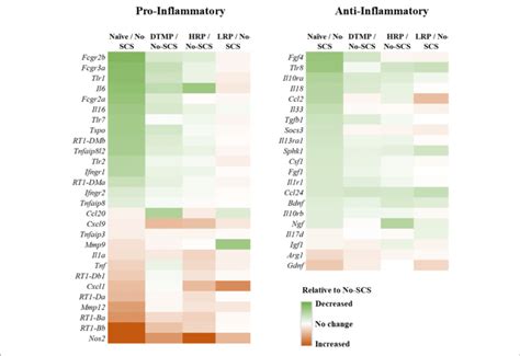 Heat Maps Illustrating Differential Expression Levels Of Download Scientific Diagram