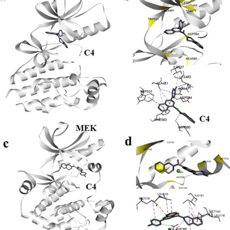 Protein Ligand Interaction Analysis A Predicted Docking Pose Of