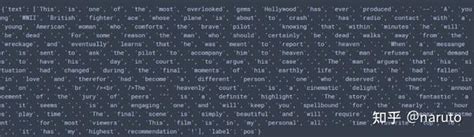 pytorch入门 实战系列五 pytorch情感分类 知乎