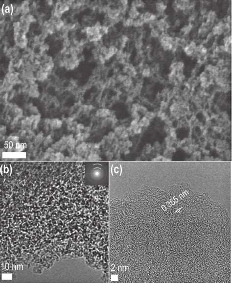 Sem And Tem Observation Of The Zncl 2 Activated Lapsi Seed Carbon A