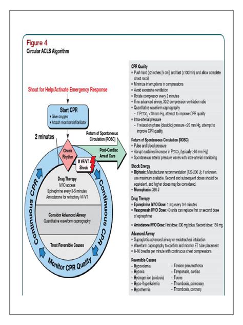 Acls Algorithym New Pdf