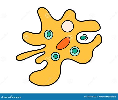 Amoeba Proteus Science Icon With Nucleus Vacuole Contractile Biology