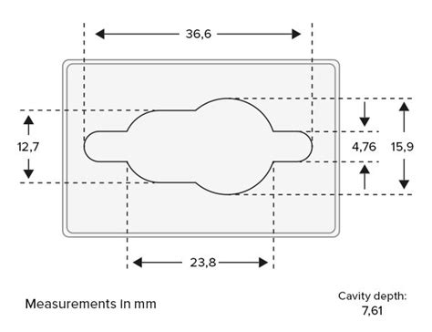 Rat Brain Matrices Agnthos