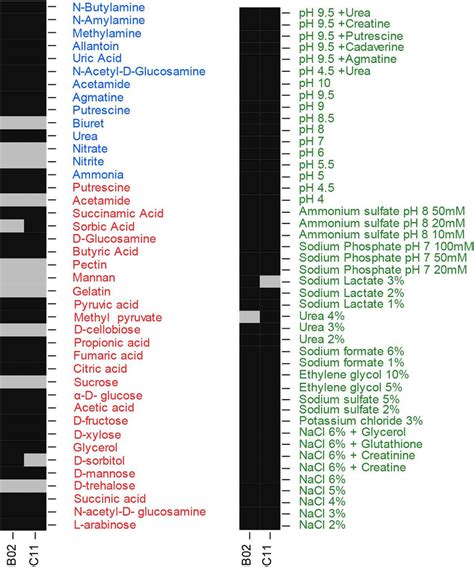 Substrate Utilization Assays Using Biolog Phenotype Microarrays For Download Scientific Diagram