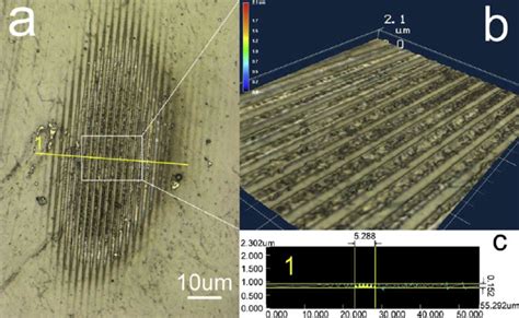 The Micro Morphology Of The Micro Grating Encoded On Aucr Thin Film