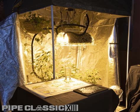 Pipe Classic 15 Bern Gallery