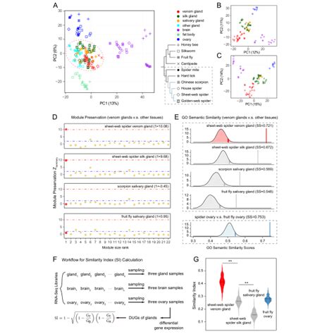 Expression Differentiation Of Gene Families In The Common House Spider