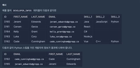 프로그래머스 Sql Python 개발자 찾기
