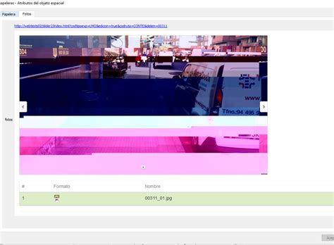 Qgis Web View Widget Does Not Load Images Properly · Issue 43163