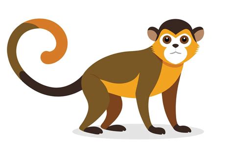 Squirrel Monkey Animal Flat Illustration On White Background 45589630