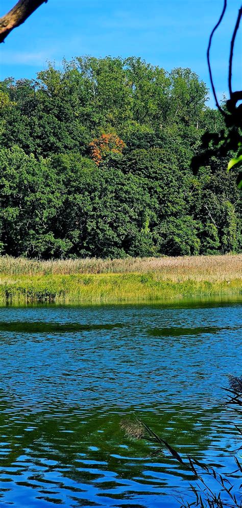 Cshlcancer Cshlhist23 Rk Narayanan Phd Mba Clp