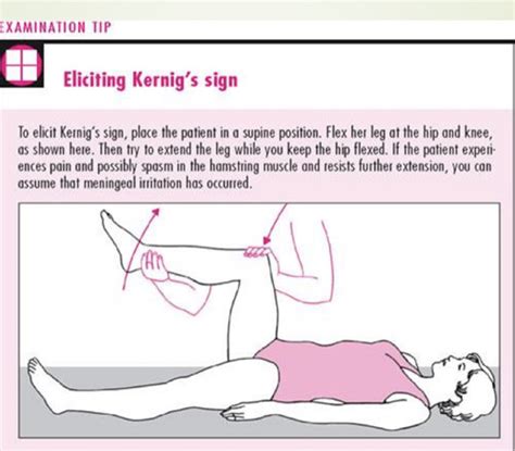 Neuro Diagnostics Lumbar Puncture And Csf Eval Flashcards Quizlet