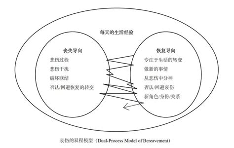 一文读懂哀伤辅导 知乎