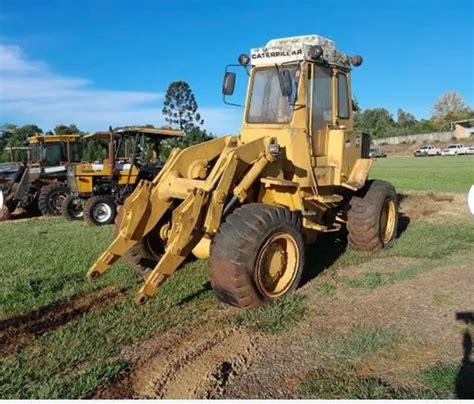 Concha Cat An Ncios Na Olx Brasil