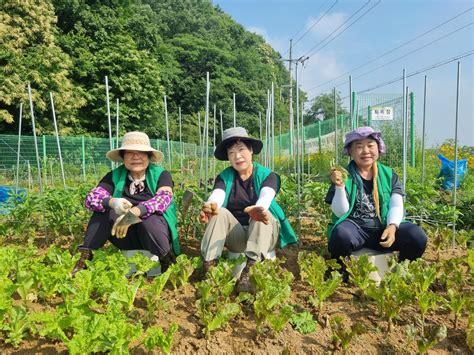 도시농업분과위원회 건강한 밥상과 탄소제로를 위한 텃밭 가꾸기 및 공유냉장고 채소 나눔 230613 광주시지속가능발전협의회