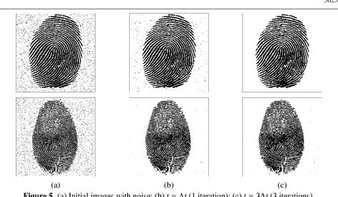 Figure 5 From A Fast And E ﬃ Cient Numerical Algorithm For Image