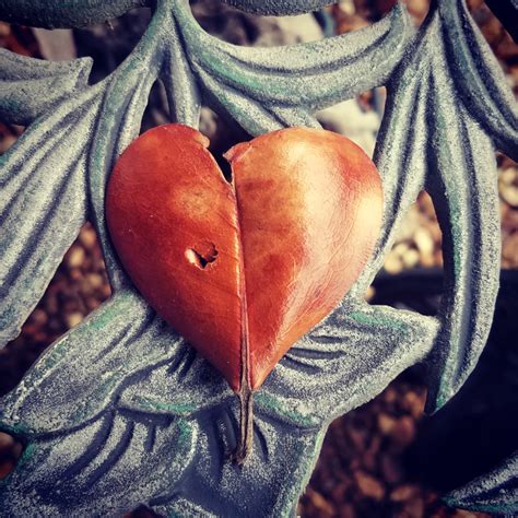 Wifi Keeps Dropping Intermittently For The Past Two Weeks Xfinity Community Forum