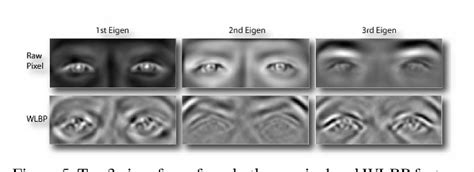 Figure 1 From Investigating Age Invariant Face Recognition Based On Periocular Biometrics