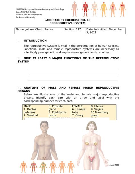 LAB Exercise Reproductive System Department Of Biology Institute Of Arts And Sciences Far