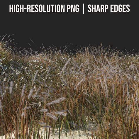 Dry Grass Overlays Realistic Boho Meadow Pngs Digital Download Etsy
