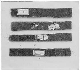 Specimens Before Tensile Test Download Scientific Diagram