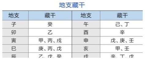 八字中的地支藏干地支中隐藏的大世界