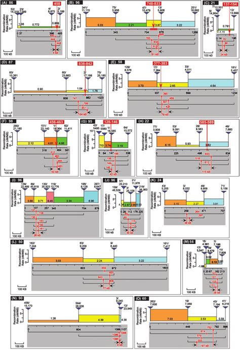 Fine Mapping Results For 15 Representative Complementation Groups