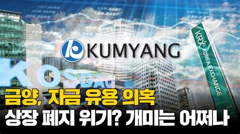 상장 폐지 위기 금양 자금 유용 의혹20만 개미들 어쩌나 Youtube
