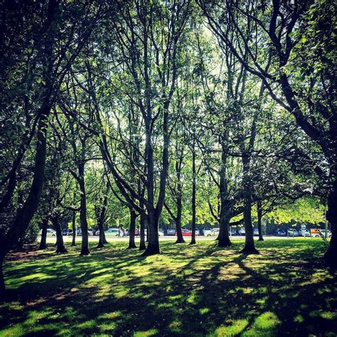 Keele Squirrel Keelesquirrel Twitter