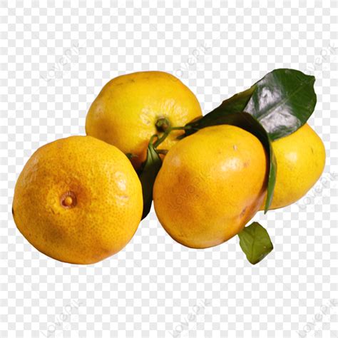 신선한 얇은 피부 씨없는 달콤한 오렌지주황색과일 Png 일러스트 무료 다운로드 Lovepik