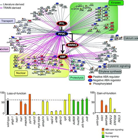 Aba Signaling Networks Download Scientific Diagram