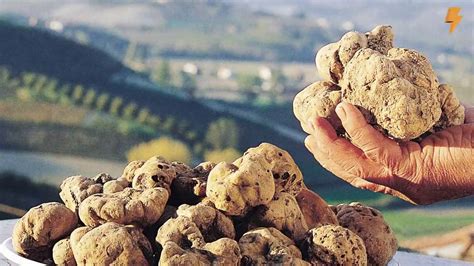 10 САМЫХ ДОРОГИХ ПРОДУКТОВ в МИРЕ Youtube