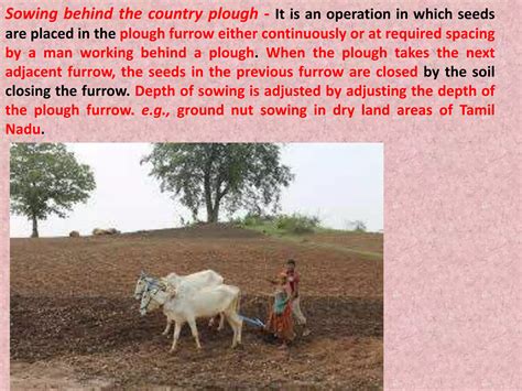 Seed And Different Methods Of Sowing PPT