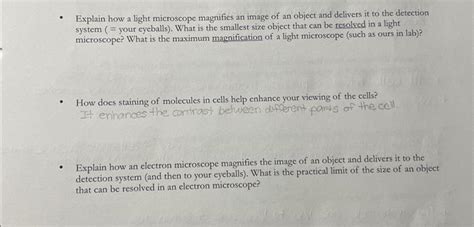 Solved Explain How A Light Microscope Magnifies An Image Of
