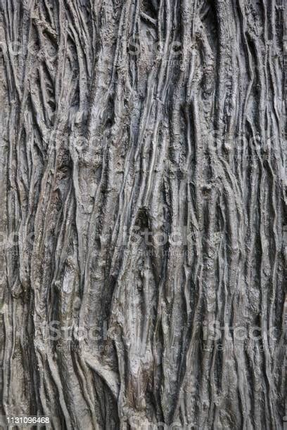 나무 뿌리가 형성 된 질감 된 배경입니다 자연 추상적인 표면입니다 장식 0명에 대한 스톡 사진 및 기타 이미지 0명 갈색 금속 Istock