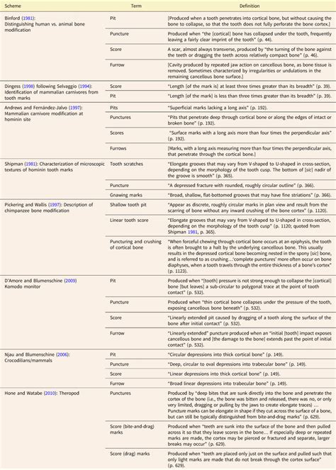 The Category Modifier System A Hierarchical Classification Scheme For