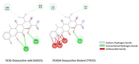 2d Structure Of Molecular Docking Interaction Residues Showing The