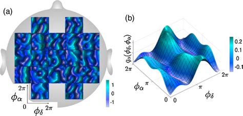 Examples Of Neural Cross Frequency Coupling Functions A Spatial