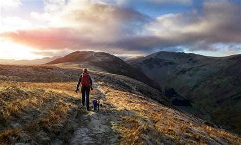 Wilder Lands The Rewilding Initiatives Restoring The Uk