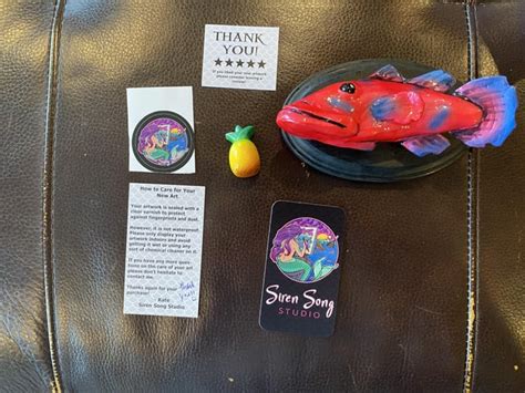 Brother Got Me A Custom Trophy Ruby Splashtail For Christmas R