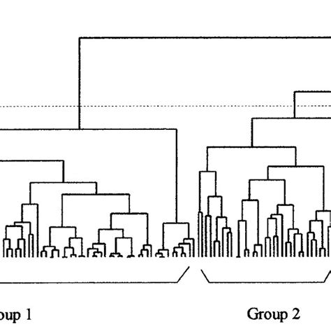 Dendrogram For Wards Hierarchical Agglomerative Clustering Download