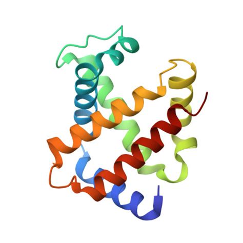 Rcsb Pdb 8puq Methemoglobin Structure From Serial Synchrotron Crystallography With Fixed Target
