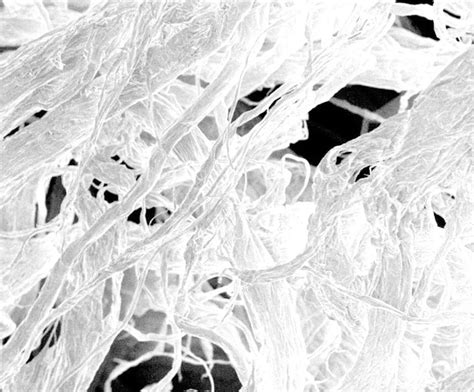 Minifibers Fibrillated Hdpe High Performance Additives For Case